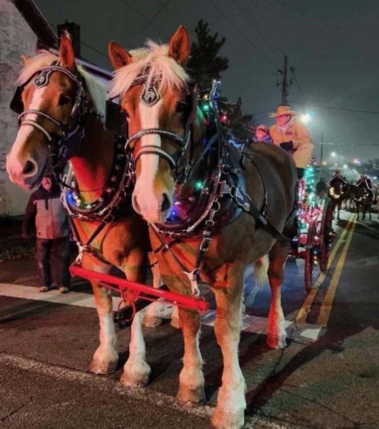 Things to Do at Christmas in Tipp City - Home Grown Great